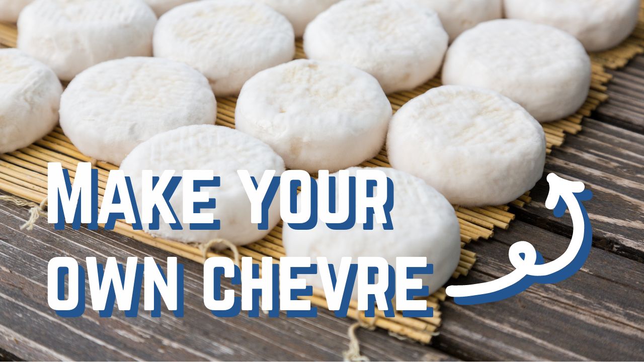 All About Chevre - Goat Journal